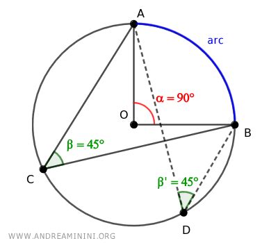 Inscribed Angle Andrea Minini