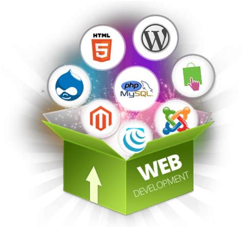 Sakshi Infoway Provides Web Development Services In India We Have Years Of Experience And Our