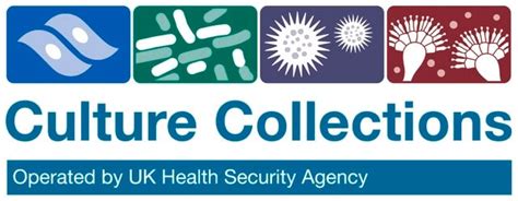 Hacat Cell Line Atcc Sigma Aldrich