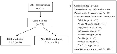 Factors Associated With Acute Community Acquired Pyelonephritis Caused