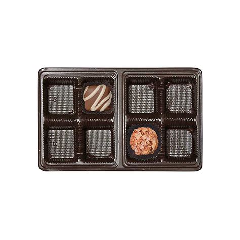 Brown Rectangular Plastic Cavities 8 Cavities Chocolat Chocolat Inc