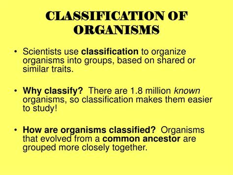 Ppt Classification Of Organisms Powerpoint Presentation Free