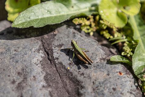 Jumb Bilder Stock Fotos And Videos Adobe Stock