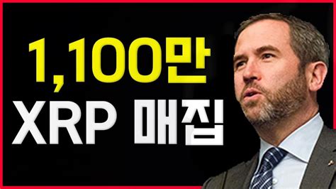 리플 지난 7일간 1100만 Xrp 고래 매집 Youtube