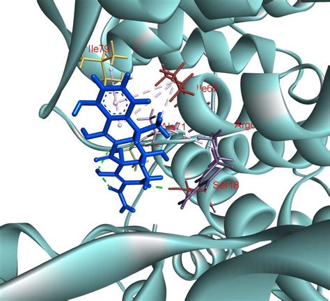 9 3d Representation Of Doxycycline In Active Site Of 4qpj Download Scientific Diagram