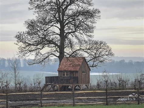 El Sue O De Pibas Pibes Y No Tan Pibes C Mo Se Construyen Casas De Madera Entre Los Rboles