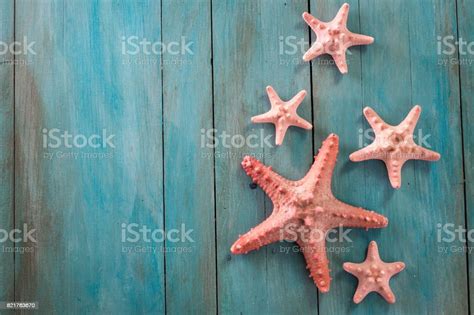 스타 물고기 진한 파란색 배경에 해양 로프와 여름 시간 바다 휴가 배경 개념에 대한 스톡 사진 및 기타 이미지 개념 공란 껍데기 Istock