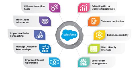 Understanding Salesforce Record Types Easily Updated 2025