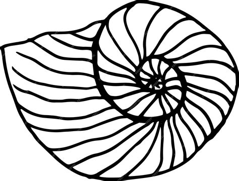 Premium Vector Hand Drawn Sketch Of Seashell