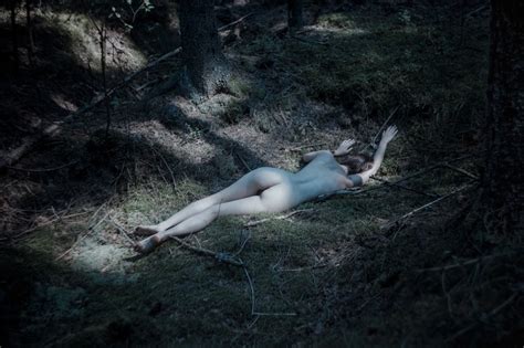 Forest Is The Memory On Behance