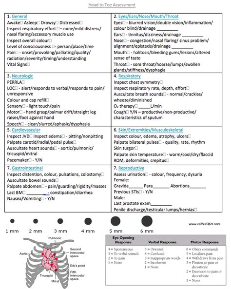 Printable Nursing Head To Toe Assessment Cheat Sheet Free Worksheets