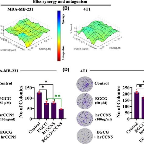 Diagrammatic Illustration Of Spatio‐selective Activation And Synthetic Download Scientific