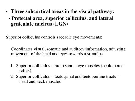 Ppt Lateral Geniculate Nucleus Lgn Powerpoint Presentation Free
