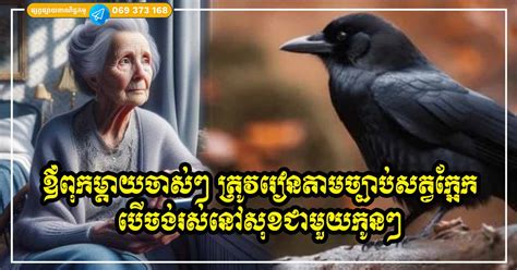 រៀនតាមច្បាប់សត្វក្អែក ឪពុកម្ដាយដែលចាស់ៗ ពេលរស់នៅជាមួយនឹងកូនៗ ឬចៅ អ្នកត្រូវរៀនតាមច្បាប់សត្វក្អែក