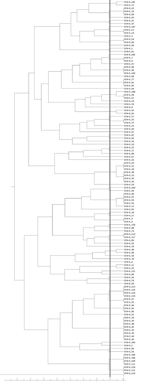 Dendrogram Of Genetic Relatedness Among 82 E Faecalis Strains The