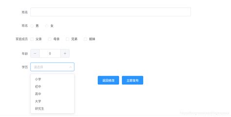Vue如何实现自定义表单 Csdn博客