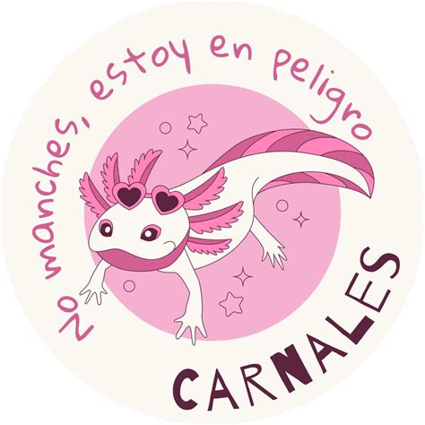 Plantillas Ajolote Gratis Y Editables Canva