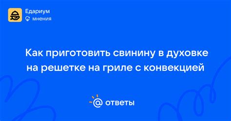 Как приготовить свинину в духовке на решетке на гриле с конвекцией