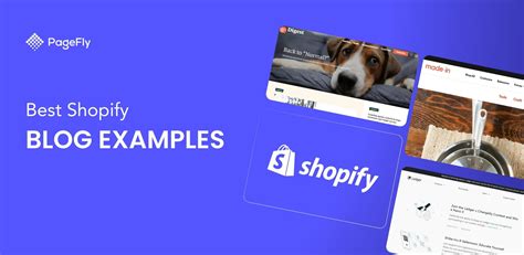 What Is The Shopify Cdn And How To Maximize Its Use