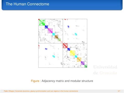 Kuramoto Dynamics Glassy Synchronization And Rare Regions In The Human Connectome Pablo