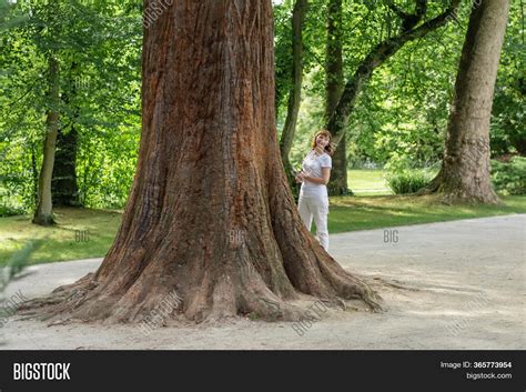 Big Tree Thick Trunk Image And Photo Free Trial Bigstock