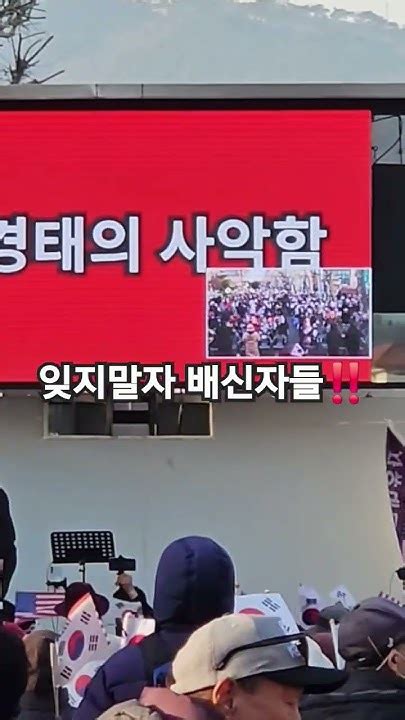 잊지말자 배신자들‼️ Shorts 헌법재판소 윤석열 계엄령 탄핵무효 안국역 탄핵각하 문형배 Youtube