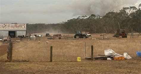 Farmer Concerned His Farm Operation Is Disposable Amid Bushfire The Courier Ballarat Vic