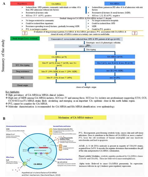 Anjana Thakur On Linkedin Molecular Characteristics Of Community