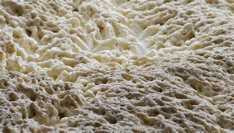 Yeast Flocculation And Attenuation Understanding The Basics Hazy And Hoppy