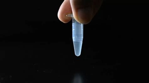 Chinese Scientists Achieve De Novo Artificial Synthesis Of Hexoses From Co2 Ukrainian News