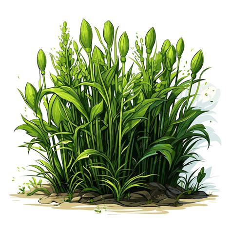 Grass Border Vector Illustration Premium Ai Generated Vector