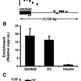 Developmental Regulation Of Runx Genomic Occupancy Potential Download Scientific Diagram