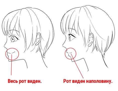 Чертеж как нарисовать лицо