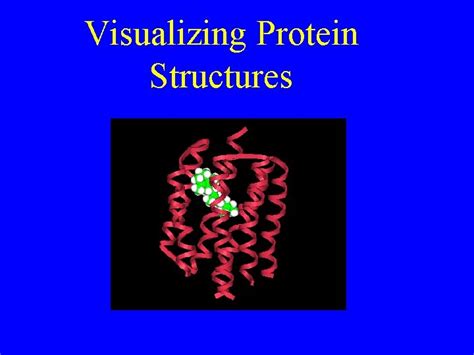 Visualizing Protein Structures Genetic Information Stored In Dna