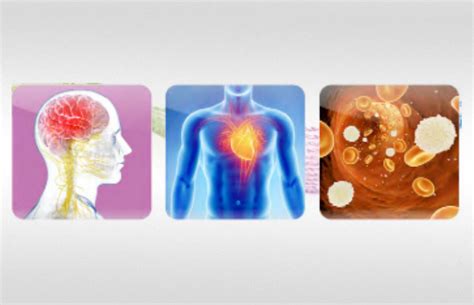 Custom Genotyping Custom Array And Sequencing Options