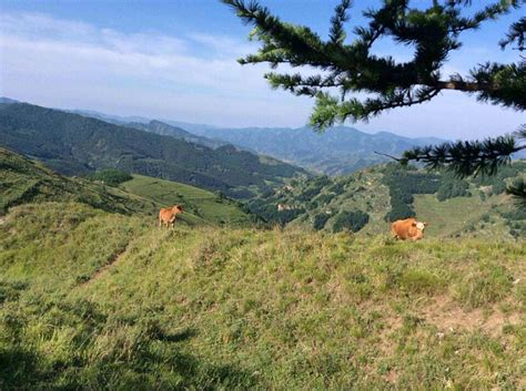 歪头山 歪头山山头不正 襄阳歪头山 大山谷图库
