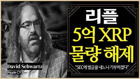 리플 5억 Xrp 물량 해제 Sec에 벌금을 내느니 기부하겠다 Youtube