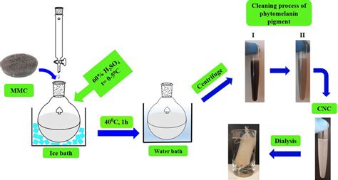 Hydrolysis Synthesis