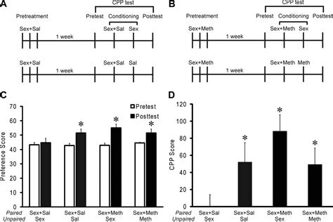 Concurrent Exposure To Methamphetamine And Sexual Behavior Enhances