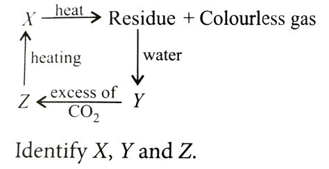Identify X Y And Z Sarthaks EConnect Largest Online Education Community