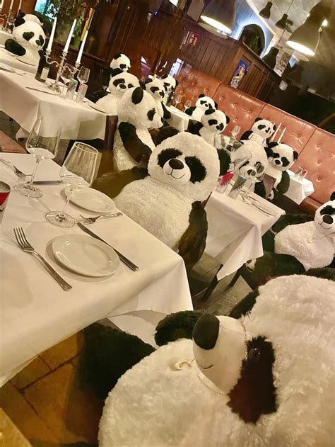Pandas In A Restaurant Near Münchner Freiheit 🐼🐼 Rmunich