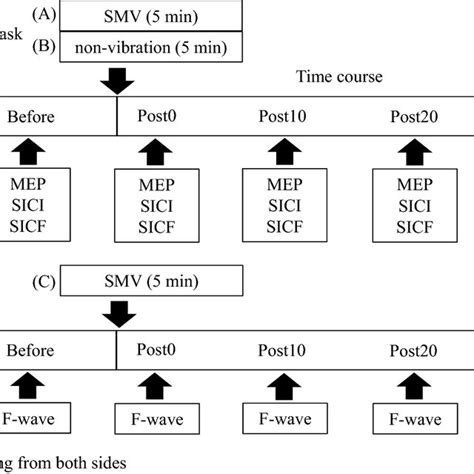 Experimental Protocol Paired Pulse Transcranial Magnetic Stimulation Download Scientific