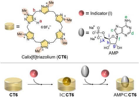 Schematic Illustration Of The Ct6 Based Colorimetric Indicator Download Scientific Diagram