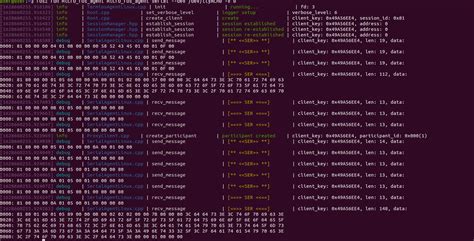 can t create topic and further participant while running micro ros