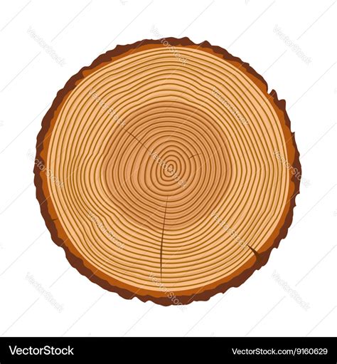 Tree Trunk Rings Texture Isolated Royalty Free Vector Image