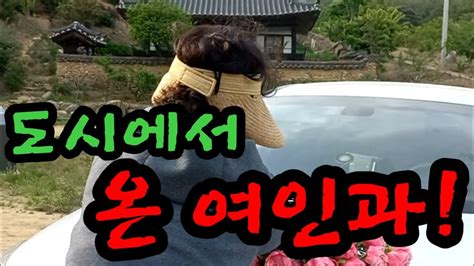 귀농부부 굴삭기 시골집 농가주택 Youtube