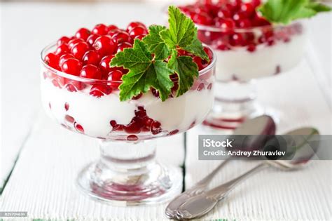 레드 건포도와 요구르트 디저트 흰색 나무 배경 잎으로 장식 하 고 가득 찬에 대한 스톡 사진 및 기타 이미지 가득 찬