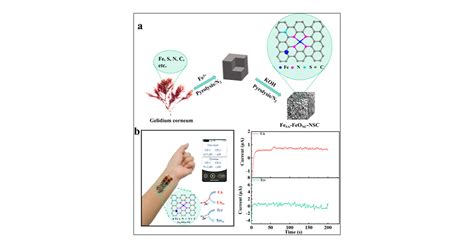 Fe Single Atom And Fe Cluster Coupled N S Co Doped Carbon Nanomaterial