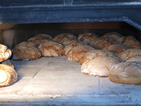 무료 이미지 작업 생기게 하다 직업 선박 빵 굽기 간식 디저트 먹다 빵집 구운 것 맛좋은 빵 굽는 사람