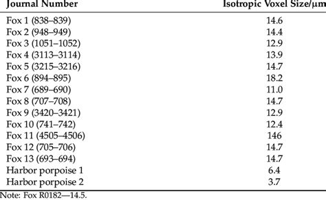 isotropic reconstructed voxel size used in the different measurements download scientific